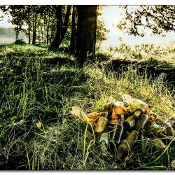 Flaschen Republik ? - https://czoczo.de