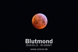 Manchmal hat man einfach Glück - https://czoczo.de