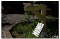 Projekt 52-2011 #14 – Wetterfrosch - https://czoczo.de