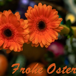 Frohe Ostern - https://czoczo.de