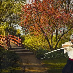 Samurai - https://czoczo.de