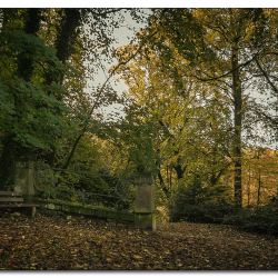 Herbst II - https://czoczo.de