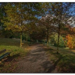 Herbst III - https://czoczo.de