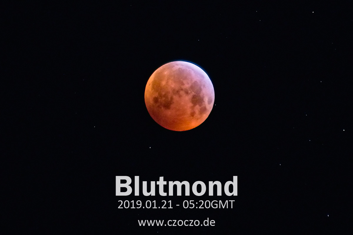 Manchmal hat man einfach Glück - https://czoczo.de