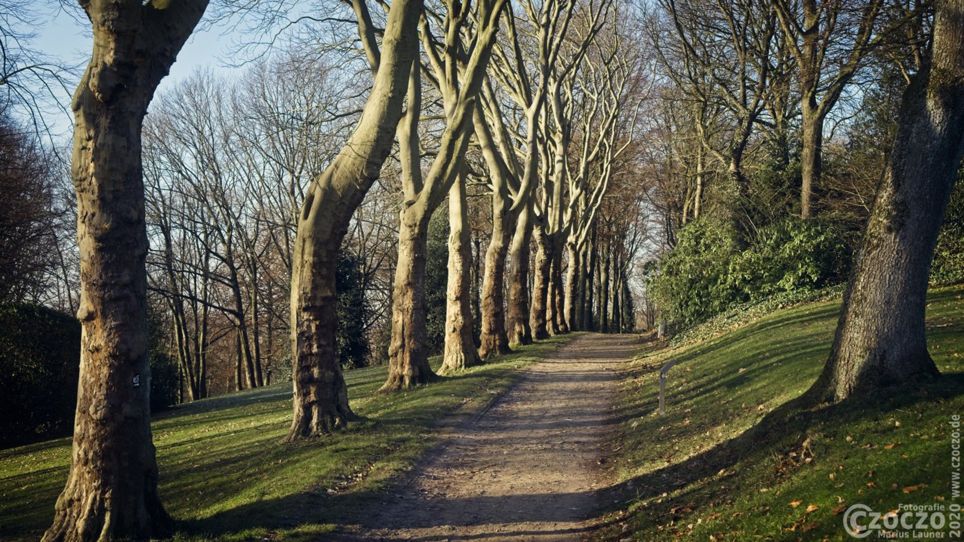 Nordpark Allee - https://czoczo.de