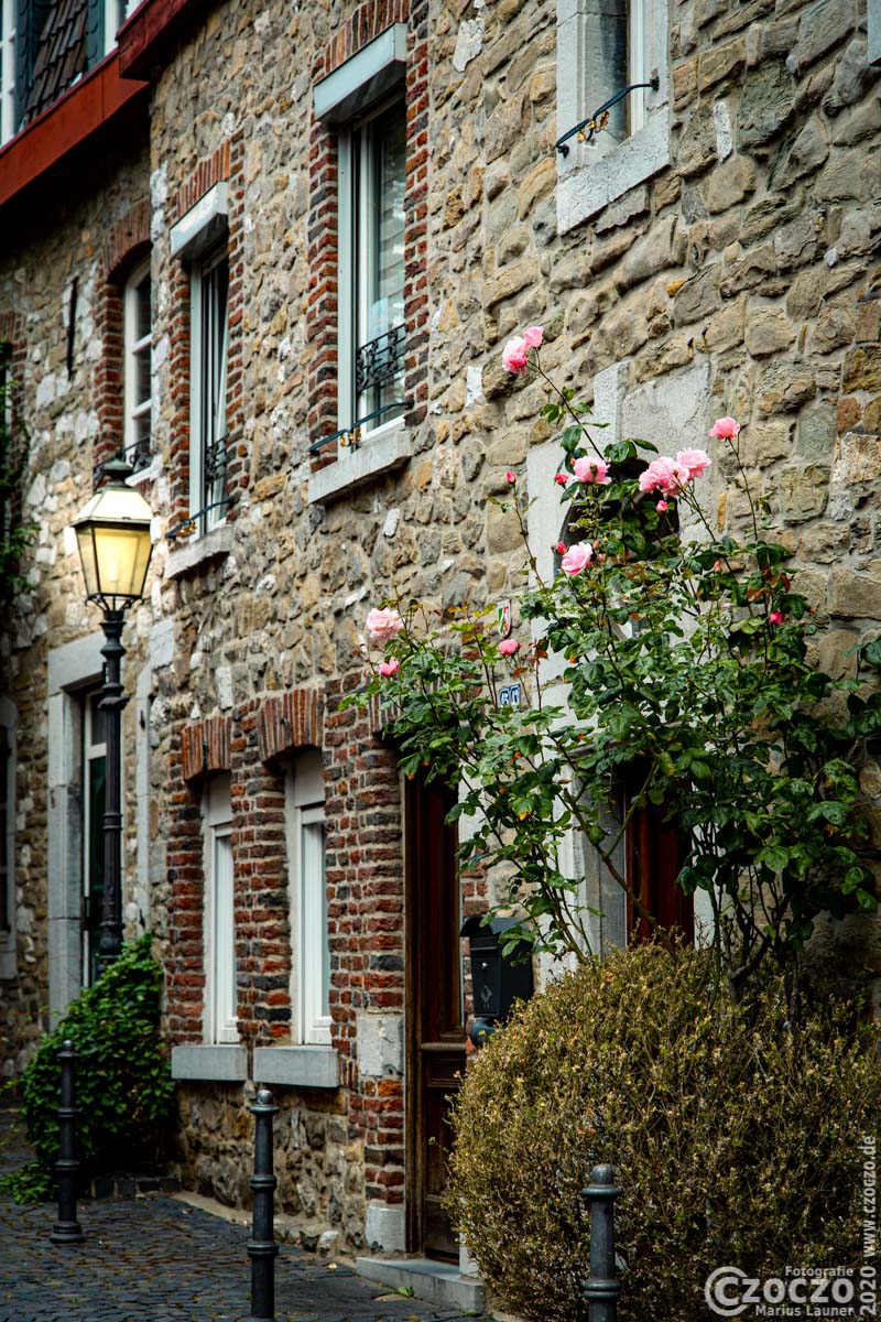 Stolberger Rosen - https://czoczo.de