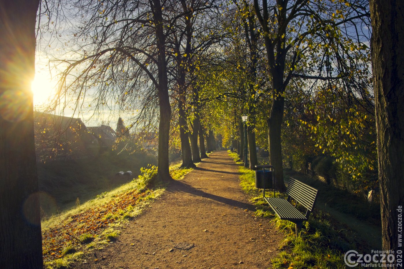 Zons in Morgensonne - https://czoczo.de