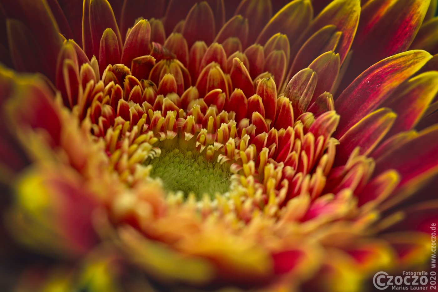 Duftend - https://czoczo.de