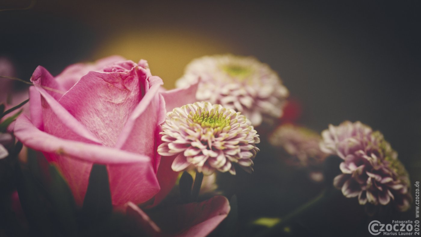 Letzte Blumenstrauß - https://czoczo.de