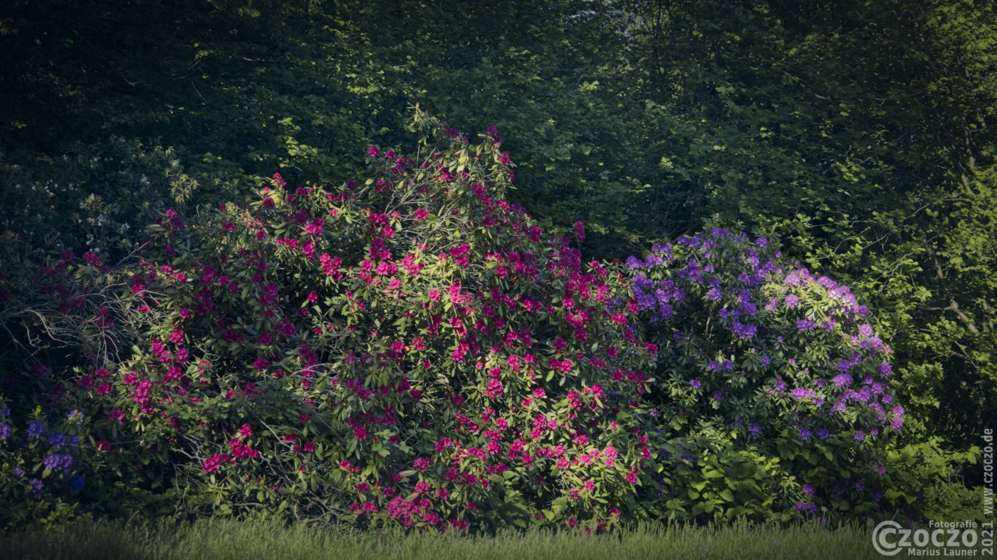 Nur ein Farbkleks... - https://czoczo.de