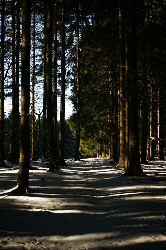Letzte Januar Tag - https://czoczo.de