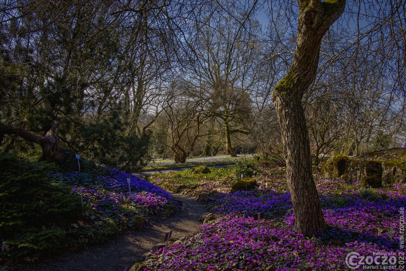 Wie im Paradies - https://czoczo.de