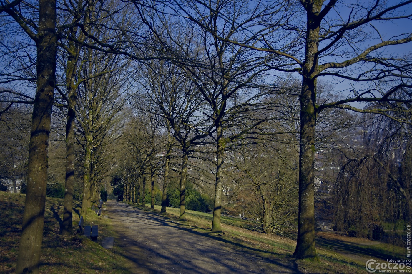 Barmer Anlagen- Allee - https://czoczo.de