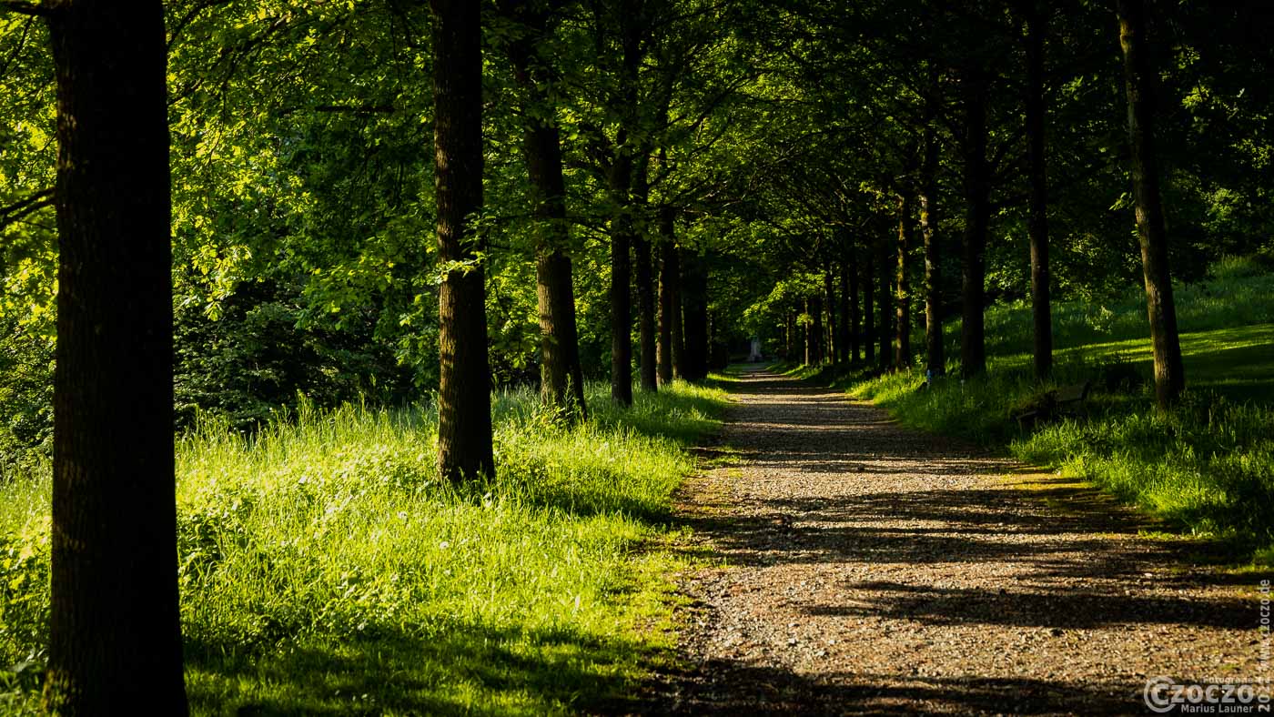 Früh am Morgen - https://czoczo.de