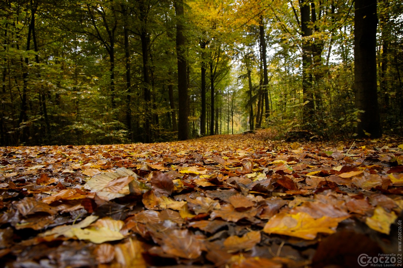 Lückenfüller - https://czoczo.de