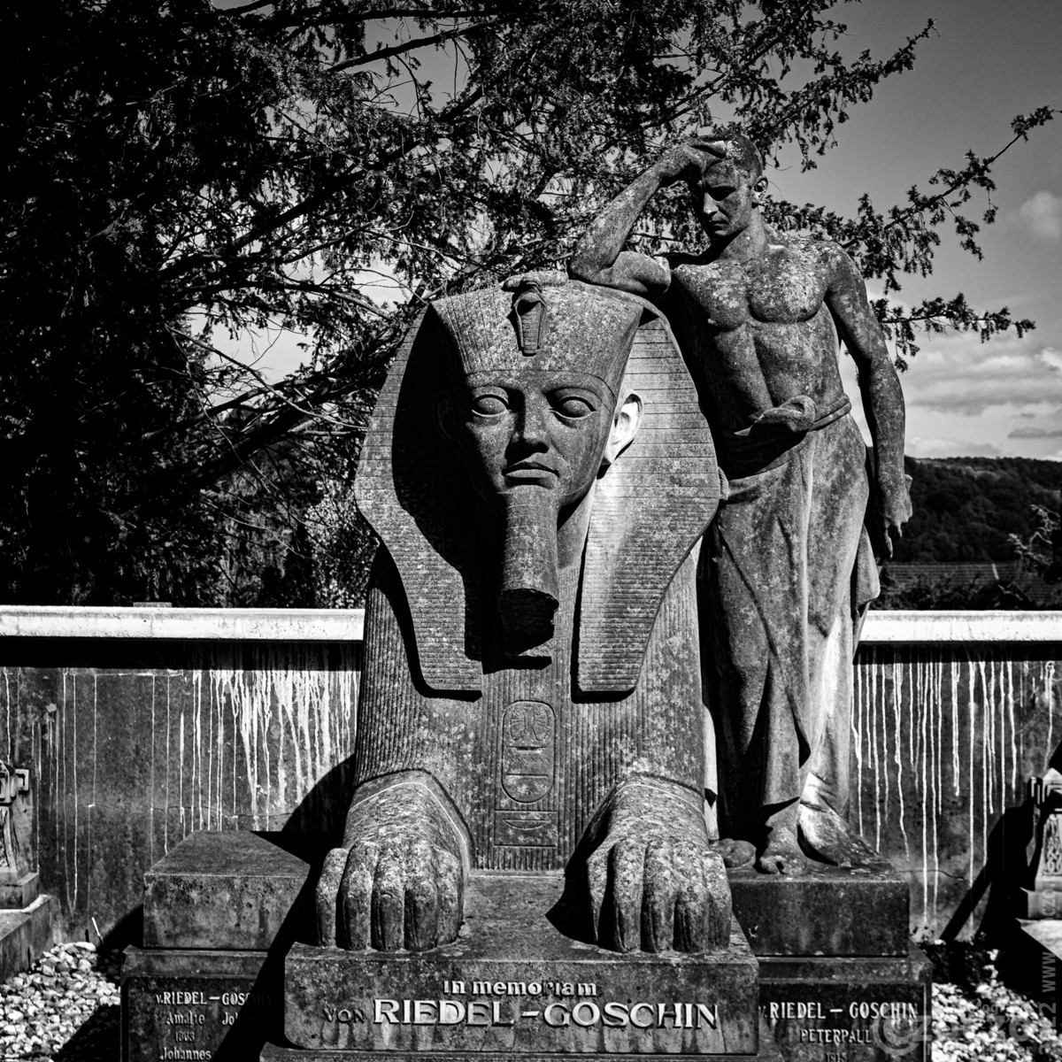 Black & White 2022 - Dezember - https://czoczo.de