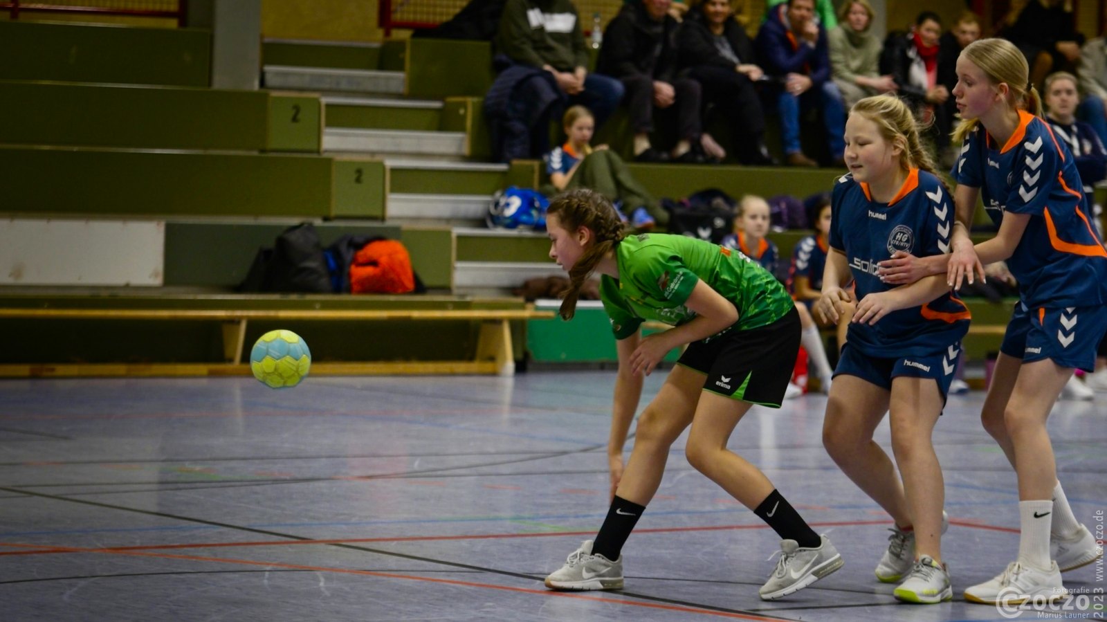 Krasse Biennen nehmen fahrt an - https://czoczo.de