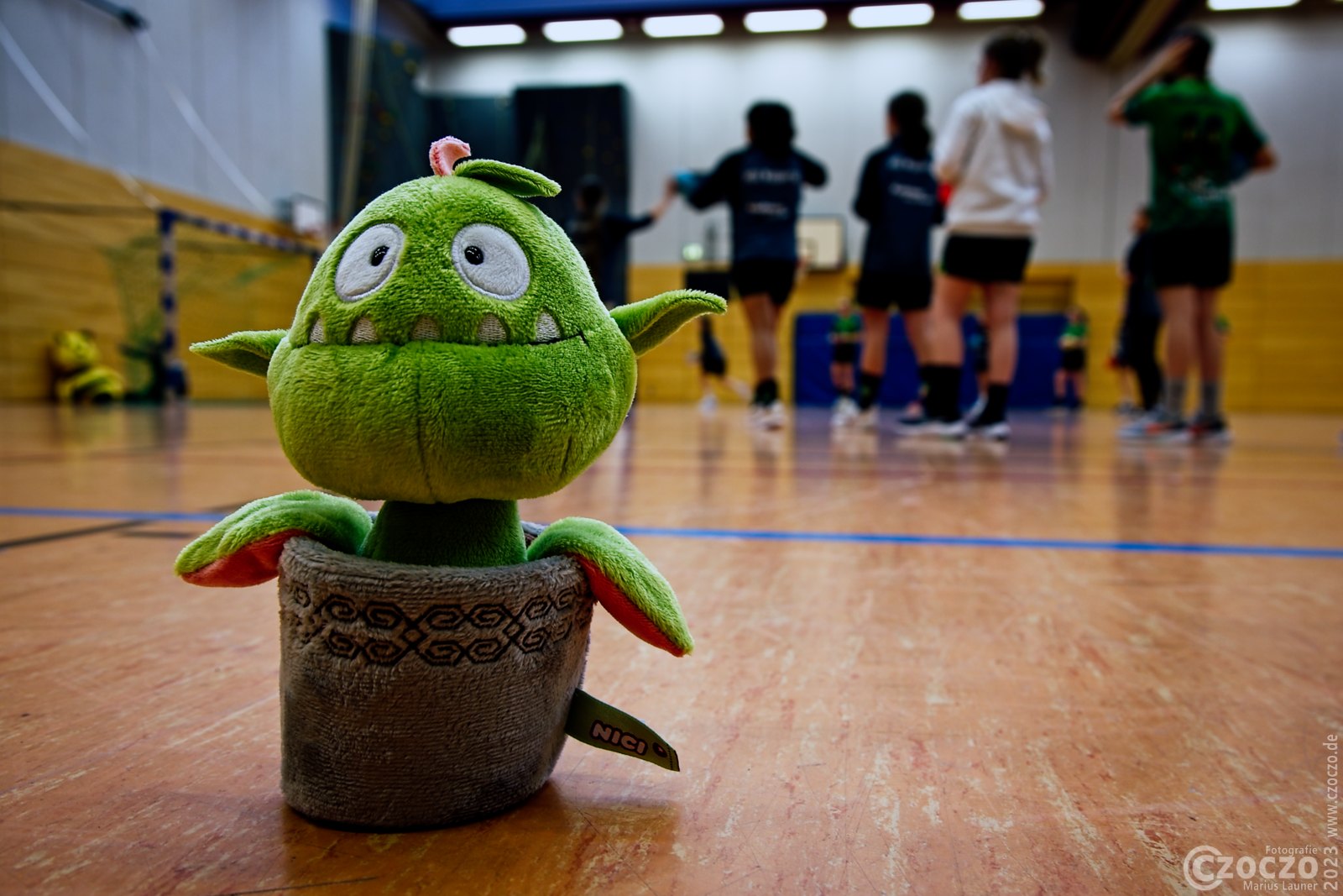 Kleine Drache & Krasse Bienne - https://czoczo.de