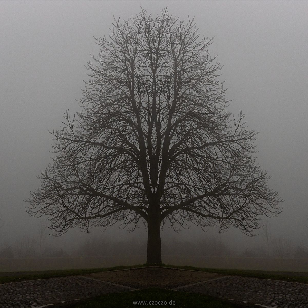 Eine kleine Spielerei - https://czoczo.de