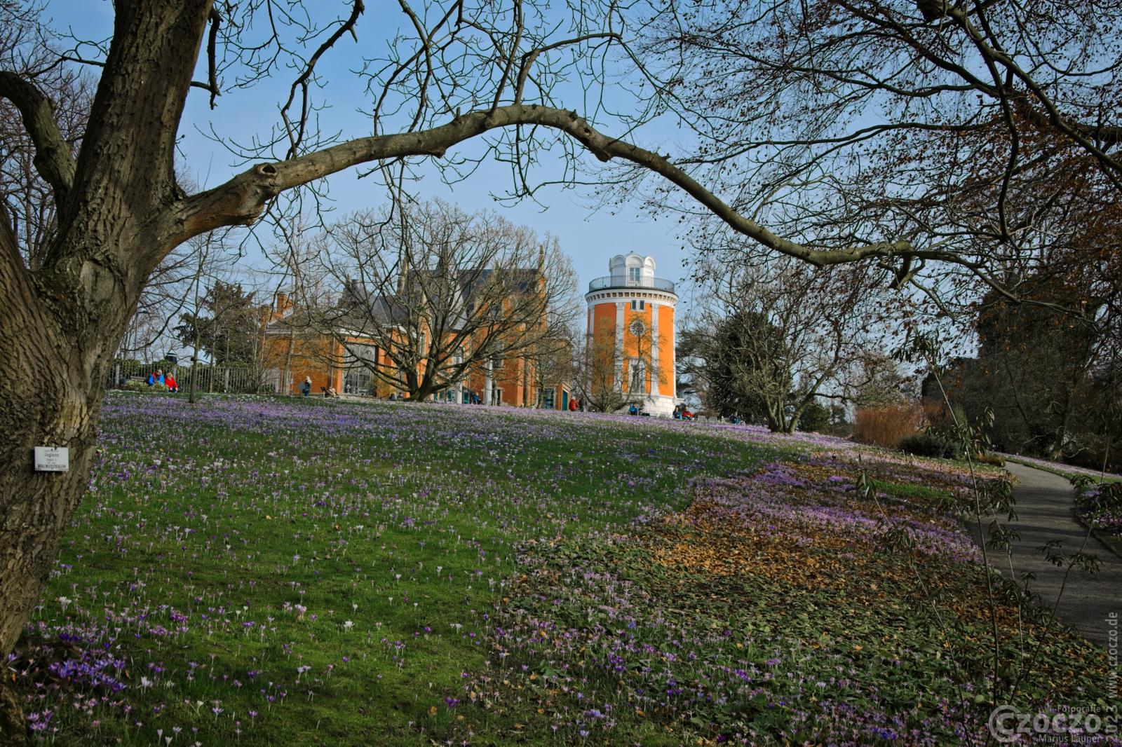 Man spürt den Frühling - https://czoczo.de