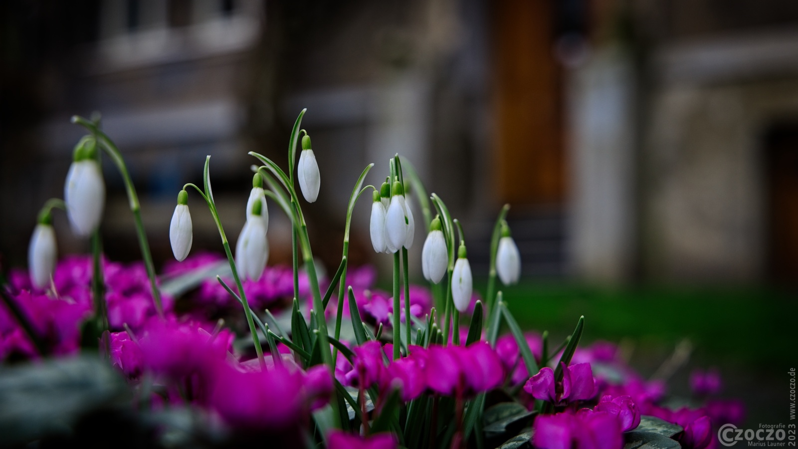 Frühling Anfang - https://czoczo.de