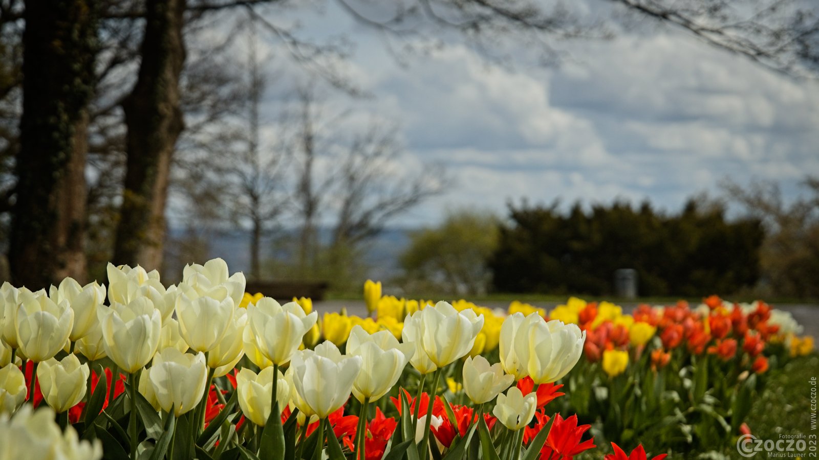 Tulpenbeet - https://czoczo.de