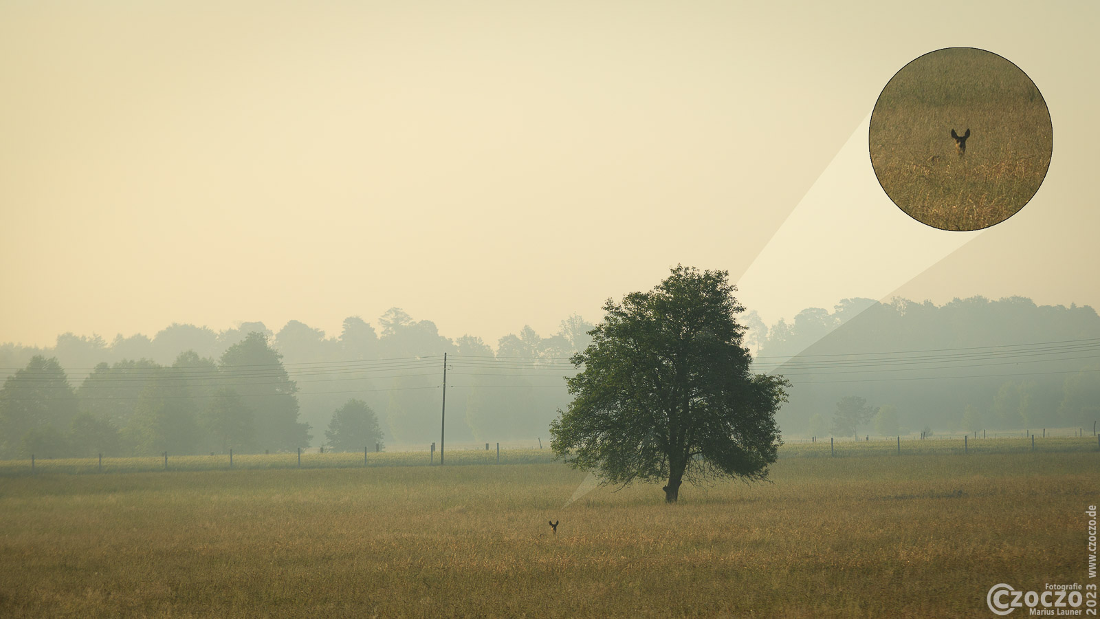 Ich werde Beobachtet - https://czoczo.de