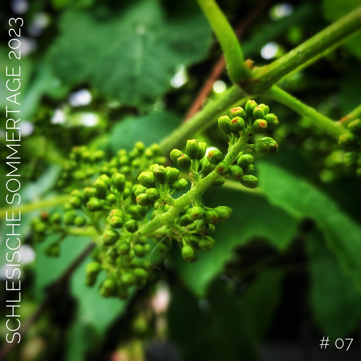 Noch zu früh - https://czoczo.de