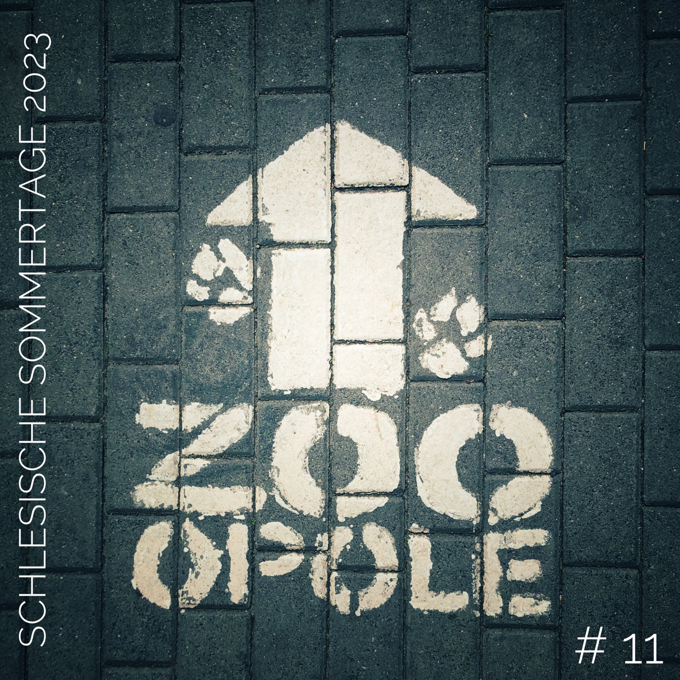 Zu Besuch - https://czoczo.de