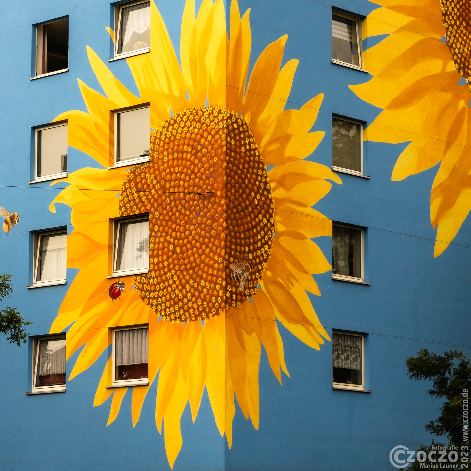 Sonnenblumen Haus - https://czoczo.de