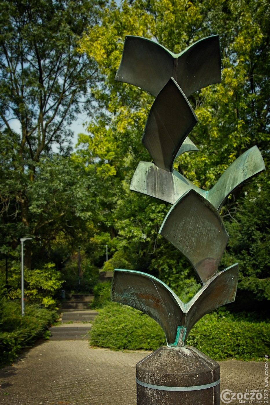 Schwingen - https://czoczo.de