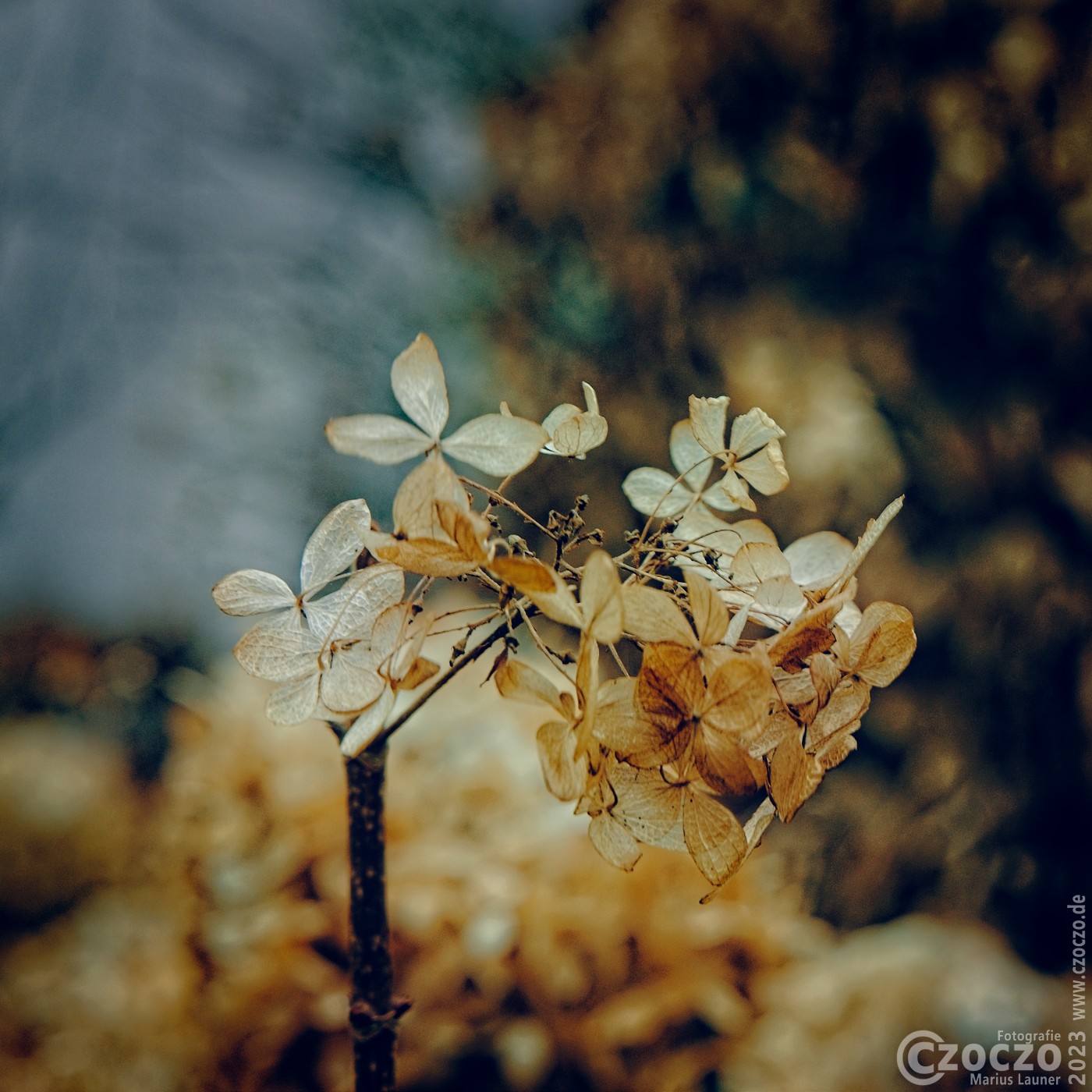 Mit letzte Kraft - https://czoczo.de