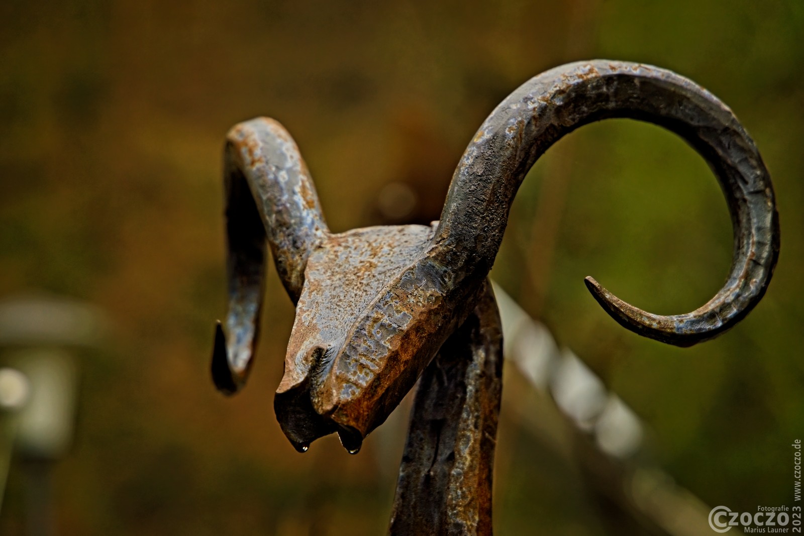 Eisenbock - https://czoczo.de