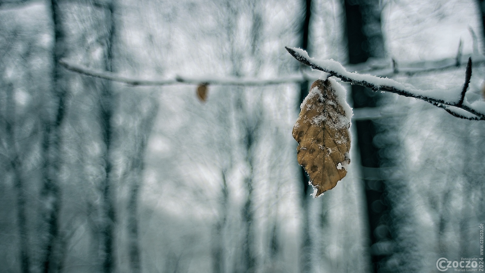 Letzte Blatt - https://czoczo.de