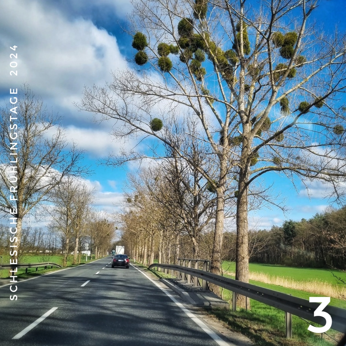 Was für Wetter... - https://czoczo.de