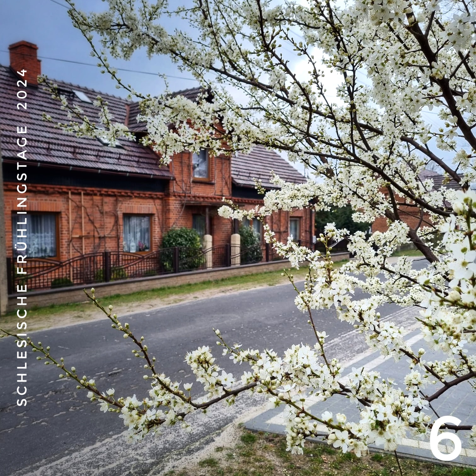 Schlesische Frühling - https://czoczo.de