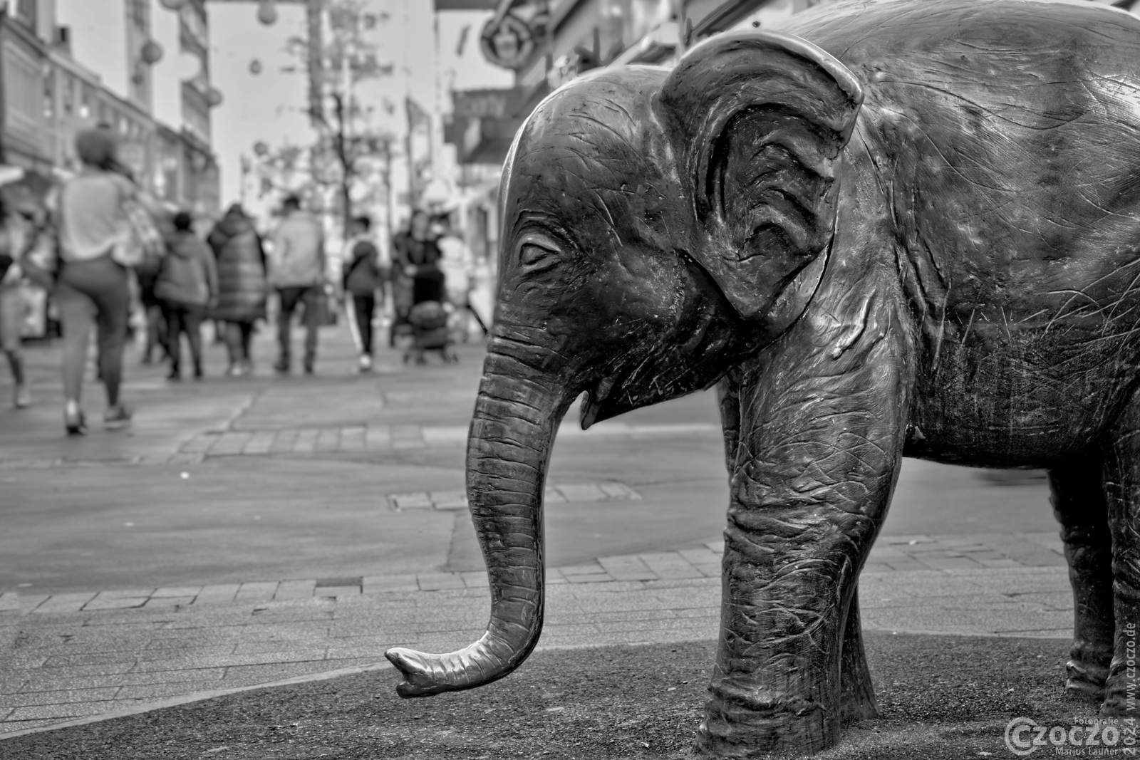 Black & White 2024 - MAI - https://czoczo.de