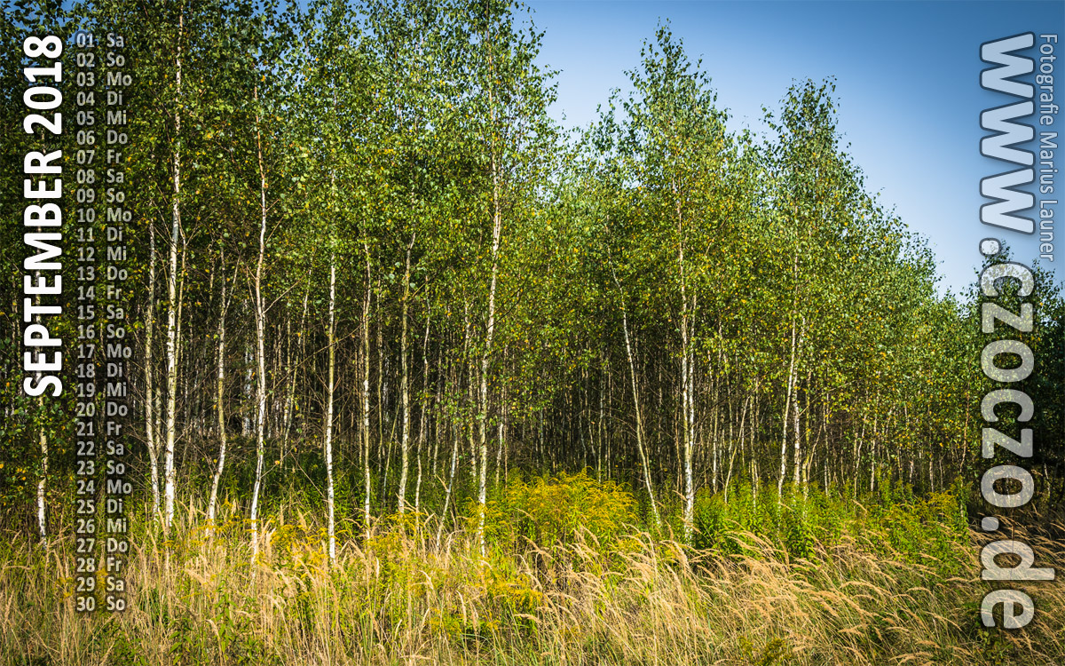 September 2018 - https://czoczo.de