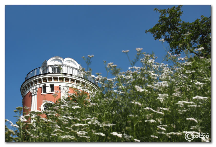 Auf die Blume gekommen ... - https://czoczo.de